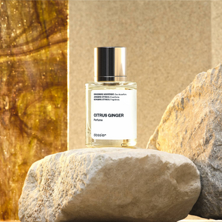 Bleu de Chanel Dupe Perfume: Citrus Ginger Perfume – Dossier Canada